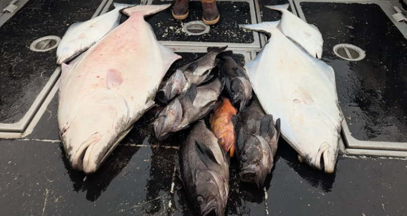 Halibut and Rockfish Combo on the Patriot | Inlet Charters Across ...